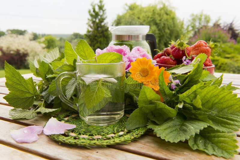 Summer tea stock photo. Image of sunny, home, rural, morning - 73082592