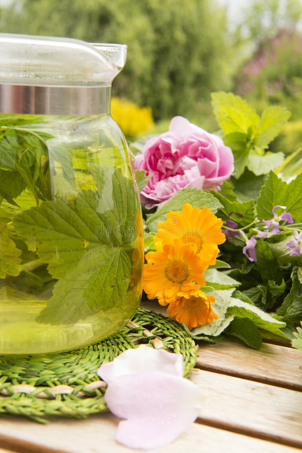 Summer tea stock image. Image of enjoyment, sweet, relaxation - 73082691