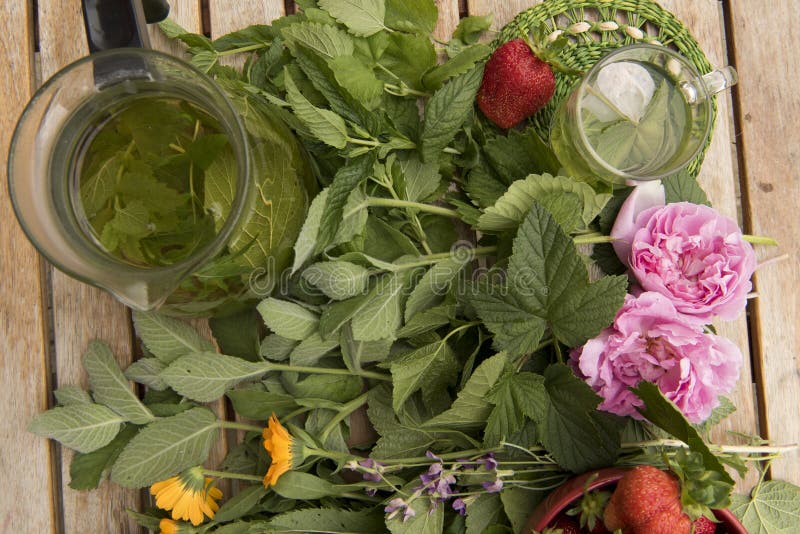 Summer tea stock photo. Image of house, garden, plants - 73083012