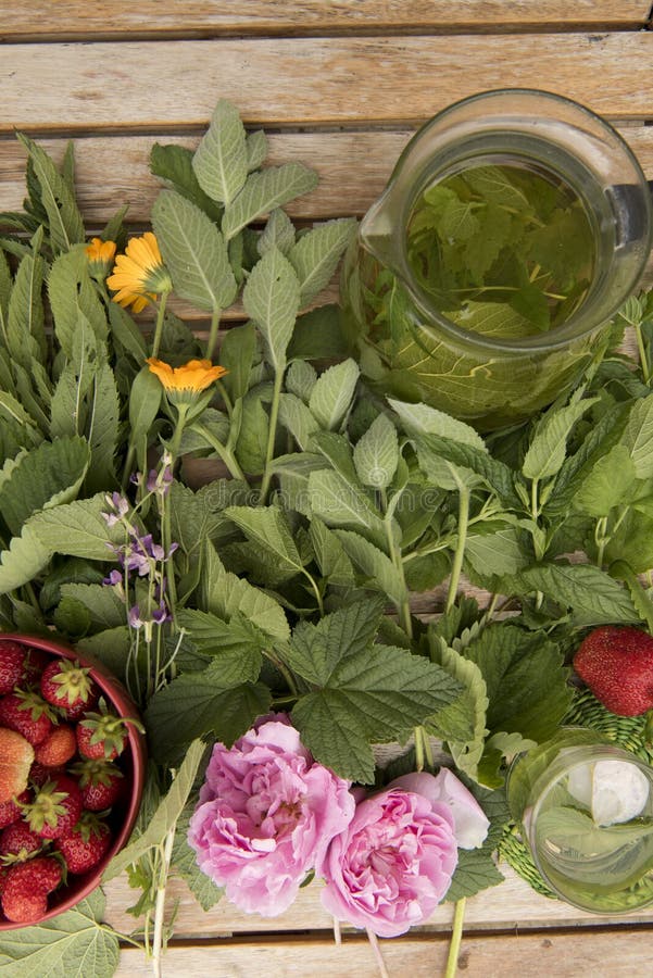 Summer tea stock image. Image of eating, sunny, nature - 73083103