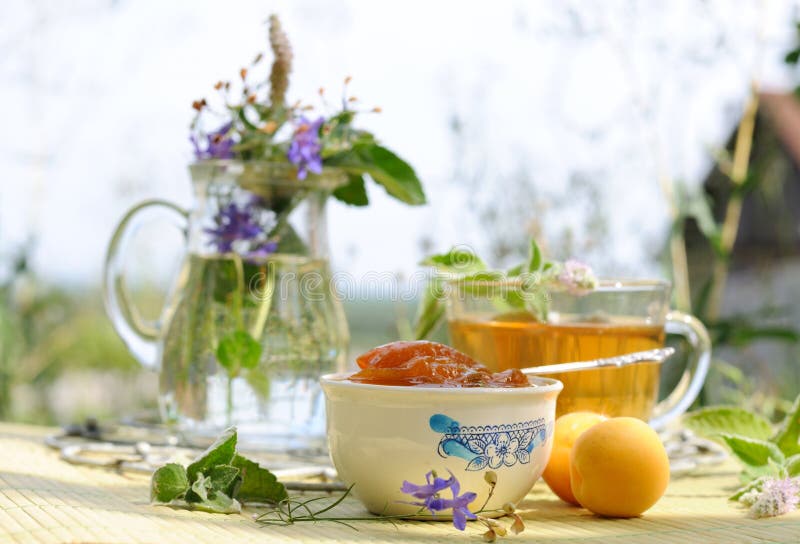 Summer tea time stock photo. Image of preserves, apricots - 17399778