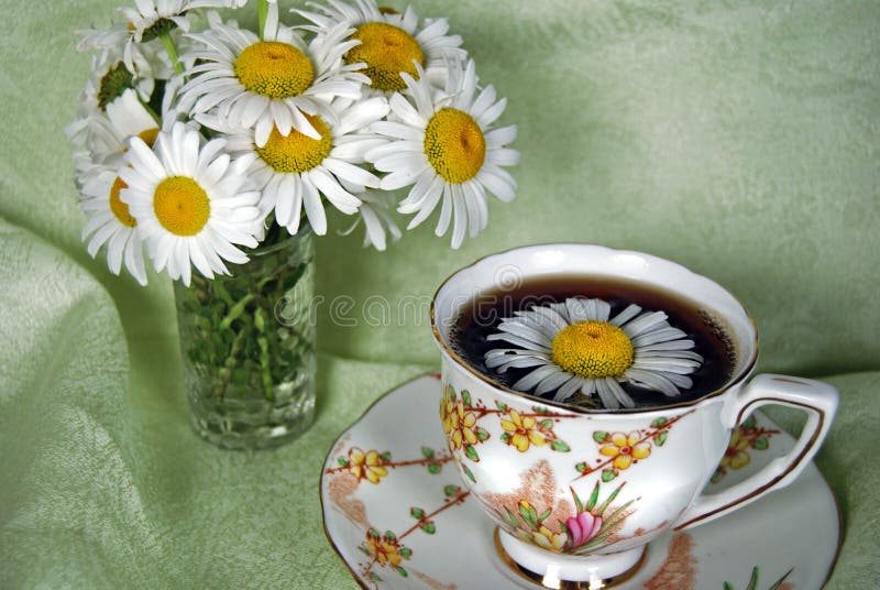 Summer Tea Time stock image. Image of dainty, drink, bloom - 5820289