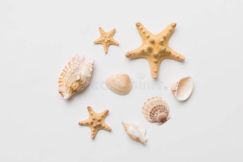 Summer Time Concept Flat Lay Composition with Beautiful Starfish and ...