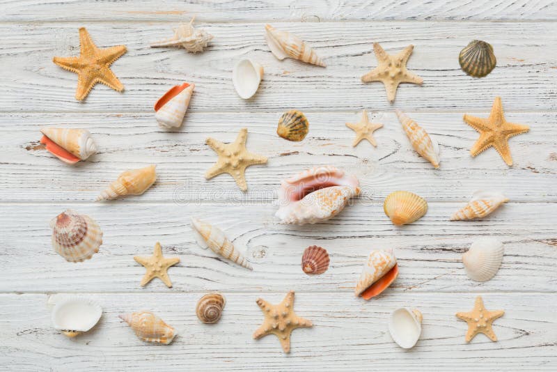 Summer Time Concept Flat Lay Composition with Beautiful Starfish and ...