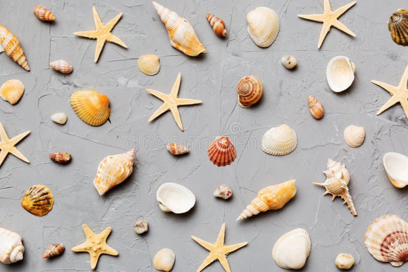 Summer Time Concept Flat Lay Composition with Beautiful Starfish and ...