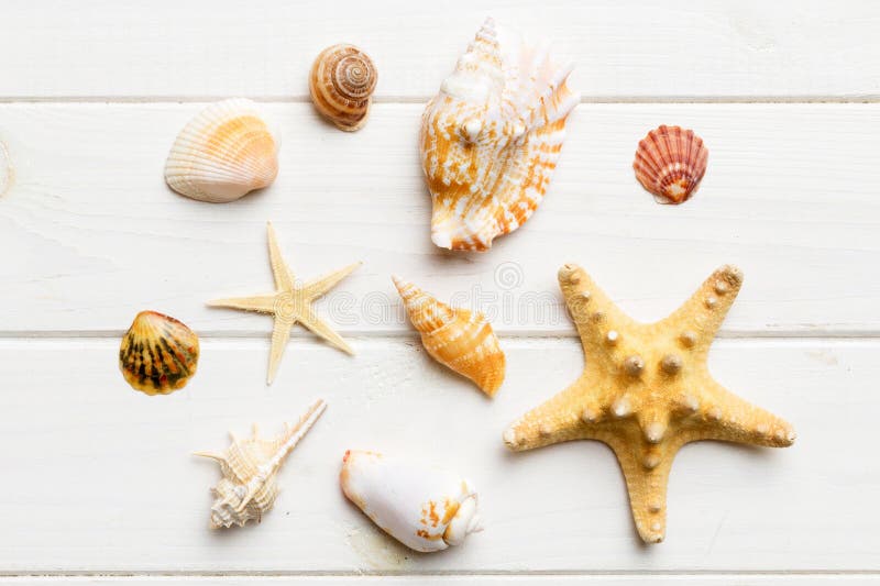 Summer Time Concept Flat Lay Composition with Beautiful Starfish and ...