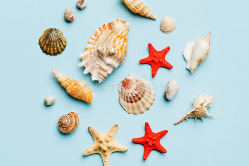 Summer Time Concept Flat Lay Composition with Beautiful Starfish and ...