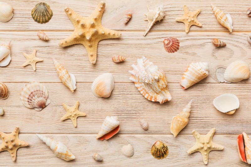 Summer Time Concept Flat Lay Composition with Beautiful Starfish and ...