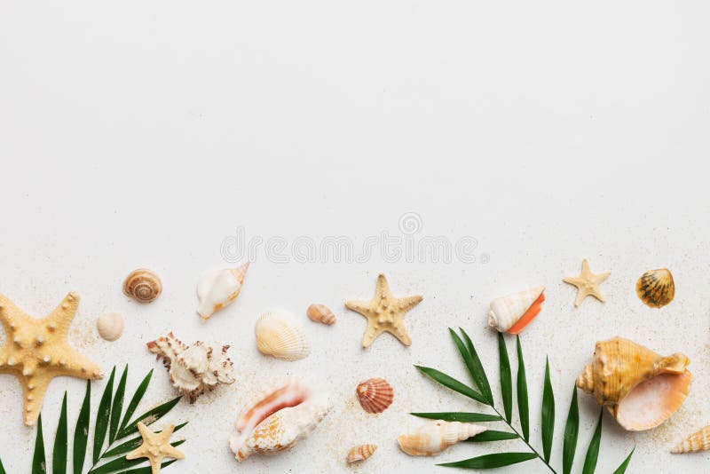 Summer Time Concept Flat Lay Composition with Beautiful Starfish and ...