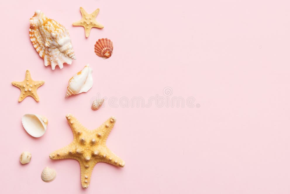 Summer Time Concept Flat Lay Composition with Beautiful Starfish and ...