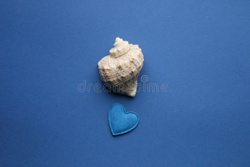 Summer Time Concept with Sea Shell Stock Image - Image of season ...
