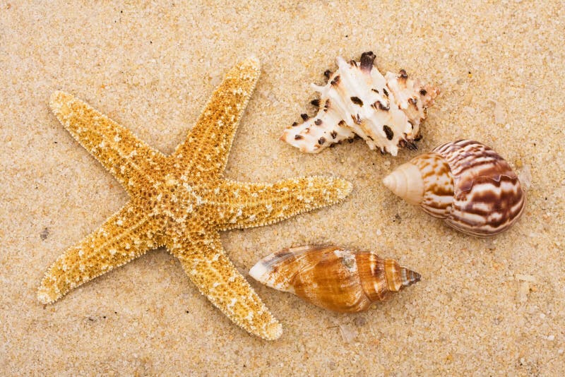 Summer time fun stock photo. Image of coastline, coast - 6184078