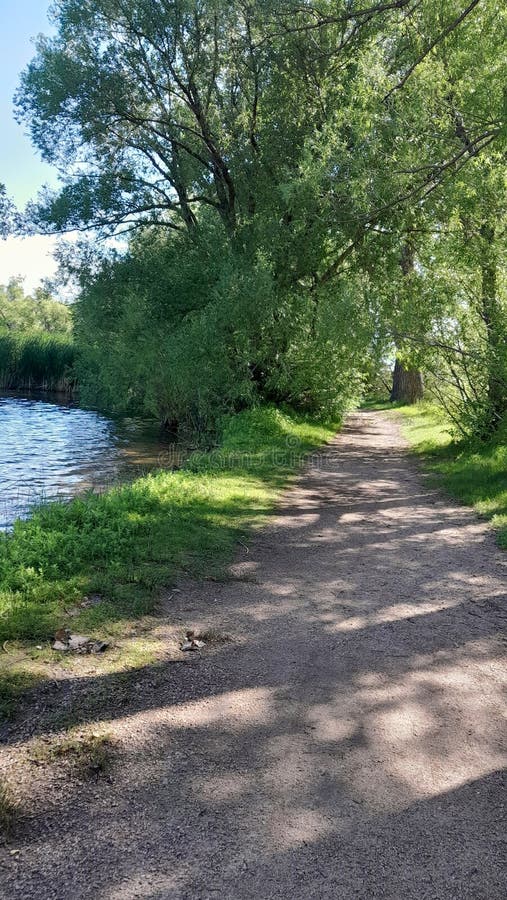 Summer time lake path stock image. Image of clouds, lake - 283327641 Summer time lake path stock image. Image of clouds, lake - 283327641