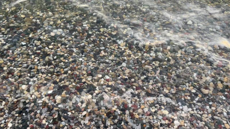 Summer Time and Pebbles on the Beach Stock Video - Video of harmony ...