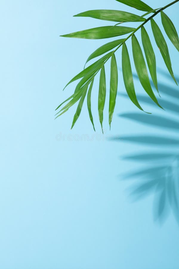 Summer Time Vibes Image, Vacation and Rest in Summer Days Stock Photo ...