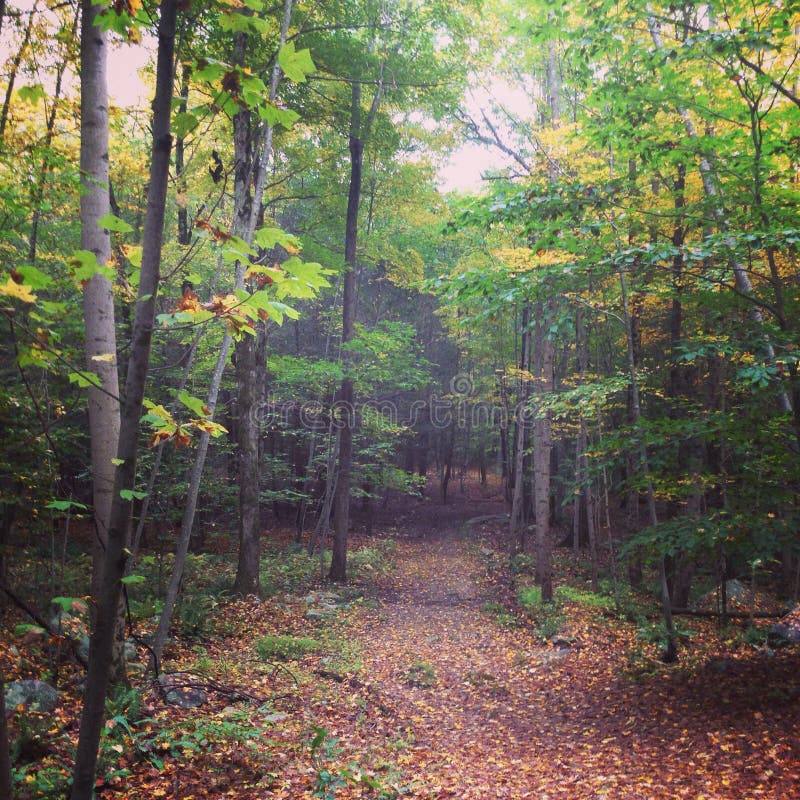 Summer Trail in Seymour stock photo. Image of summer - 48841434