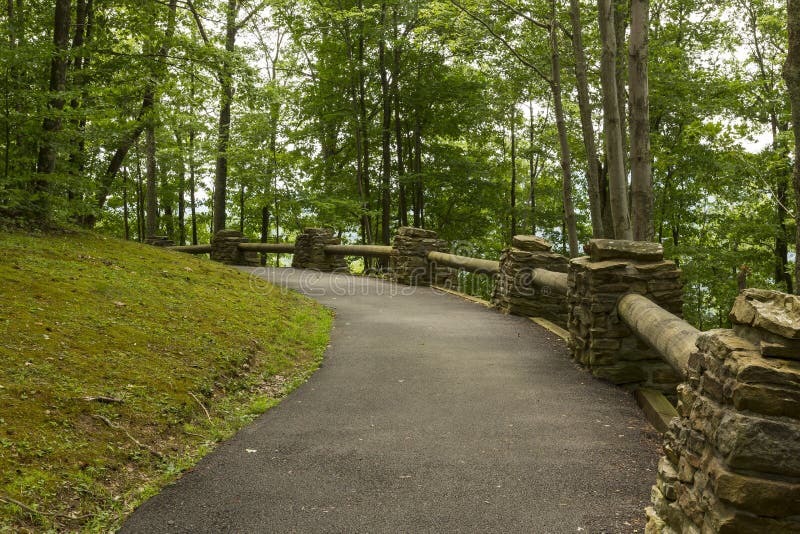 Trail through the woods. stock photo. Image of trillium - 14237524