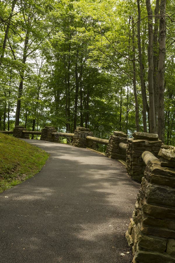 Summer Trail in Woods stock image. Image of forest, scenic - 42635561