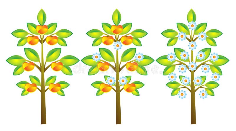 Summer tree stock illustration. Illustration of design - 10067984