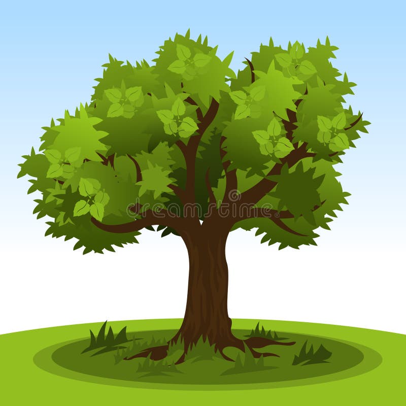 Summer Tree with Green Leaves Stock Vector - Illustration of september ...