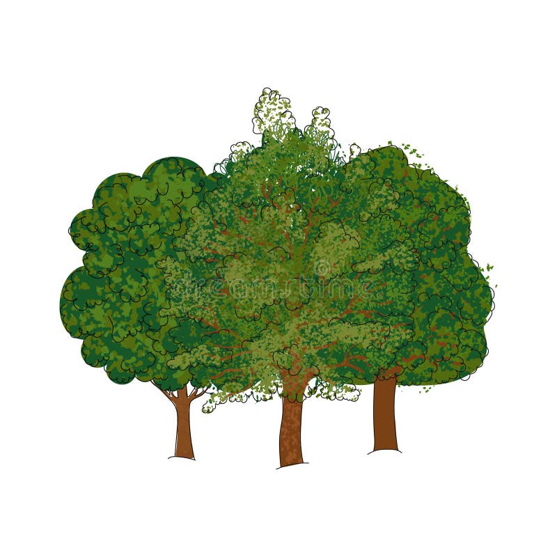 Summer Trees Colorful Illustration Stock Vector - Illustration of ...