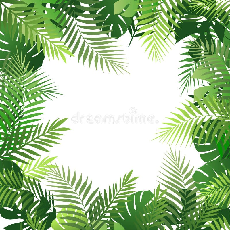 Summer Tropical Background with Palm Leaves. Exotic Wallpaper, Card ...