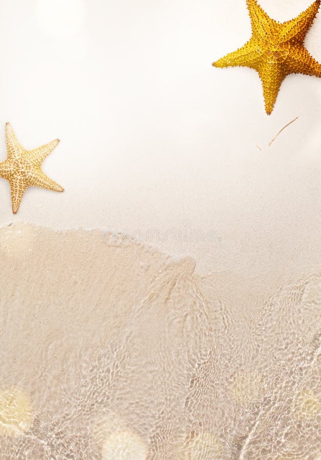 Summer Tropical Beach Background; Sand, Shell and Water Stock Photo ...