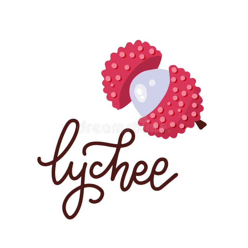 Lychee Fruit Cartoon Vector Icon Stock Illustrations – 927 Lychee Fruit ... Lychee Fruit Cartoon Vector Icon Stock Illustrations – 927 Lychee Fruit ...