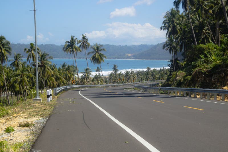 Summer on a Tropical Island with Coconut Trees Along the Road Stock ...