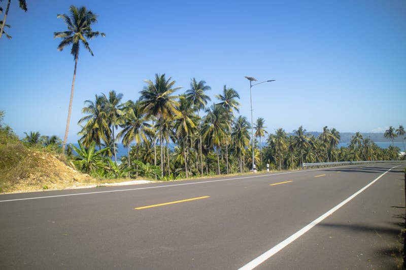 SUMMER on a TROPICAL ISLAND with COCONUT TREES ALONG the ROAD Stock ...
