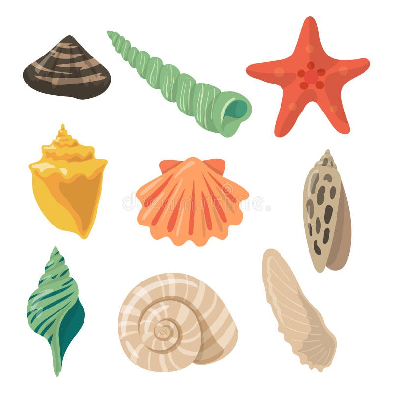Summer Tropical Objects. Marine Shells in Cartoon Style. Vector ...