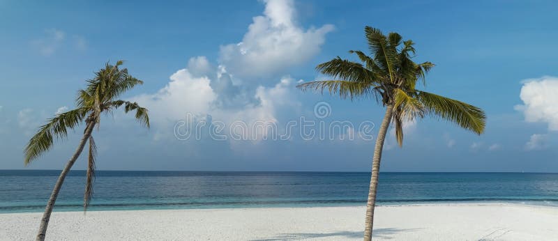 The Summer Tropical on the Sandy Beach and Turquoise Tropical Beach ...