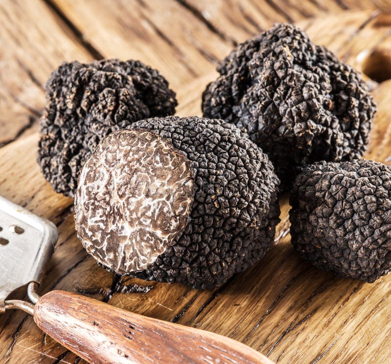 Summer Truffles and Truffle Slices Isolated on White Background. Close ...