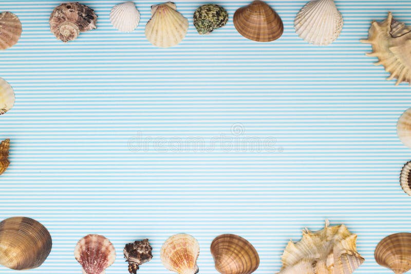 Summer Vacation Concept with Sea Shells Stock Photo - Image of seashore ...