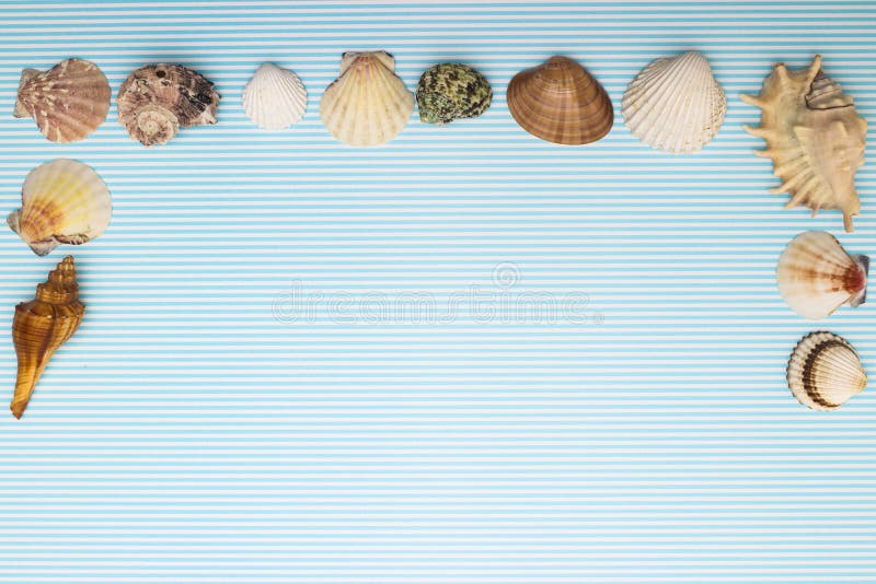Summer Vacation Concept with Sea Shells Stock Image - Image of nature ...