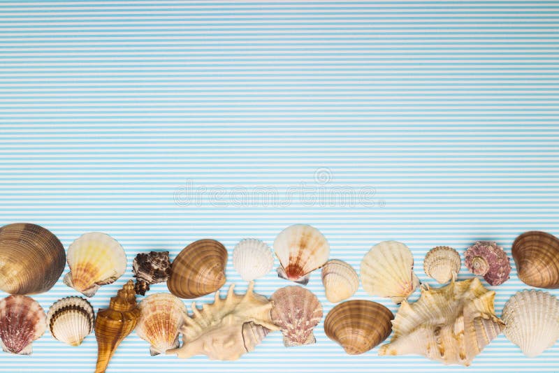 Summer Vacation Concept with Sea Shells Stock Image - Image of concept ...