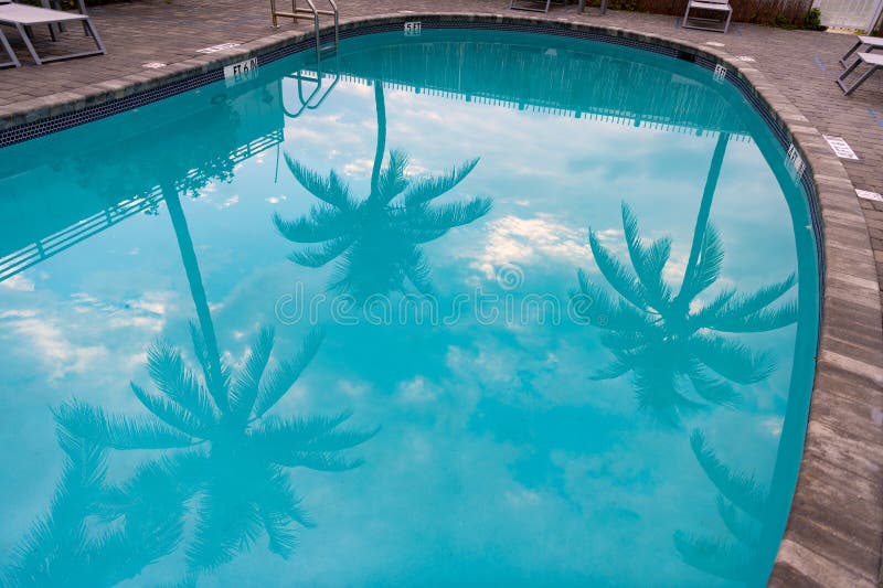 Summer Vacation Pool with Reflection. Summer Vacation Pool with Palm ...