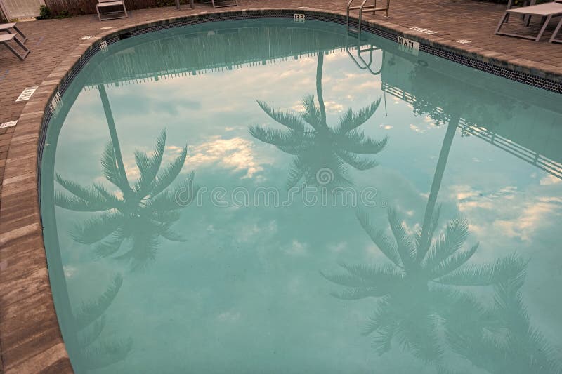 Summer Vacation Pool with Reflection. Summer Vacation Pool with Palm ...