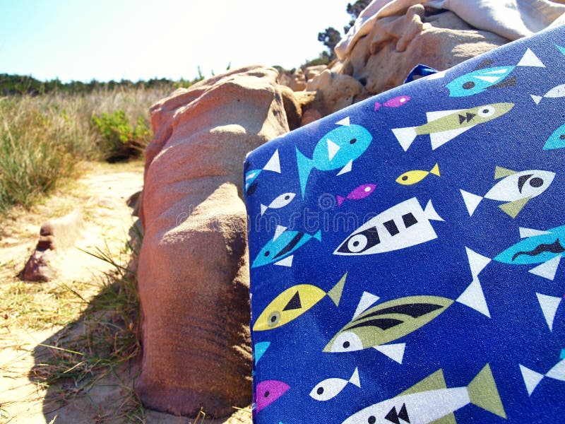 Beach Mat with Fish Pattern Laying on Beach , Summer Vacation Topic ...