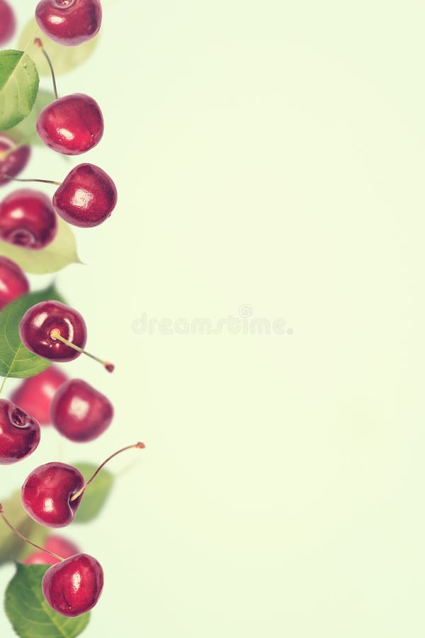 Summer Vertical Berry Background Cherry Flies Border Stock Photos ...