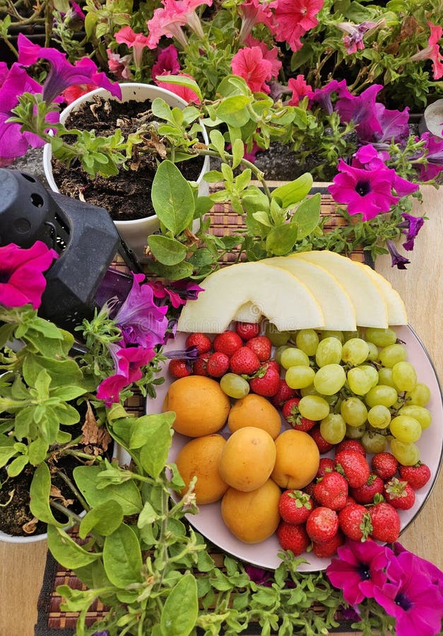 Summer Vibes. Sun, Fruits and Flowers Stock Photo - Image of strawberry ...