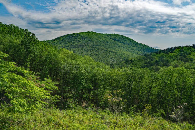 Summer View of the Blue Ridge Mountains Stock Photo - Image of full ...
