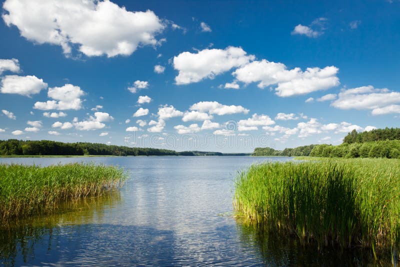 Summer view at the lake stock image. Image of scenics - 21123787