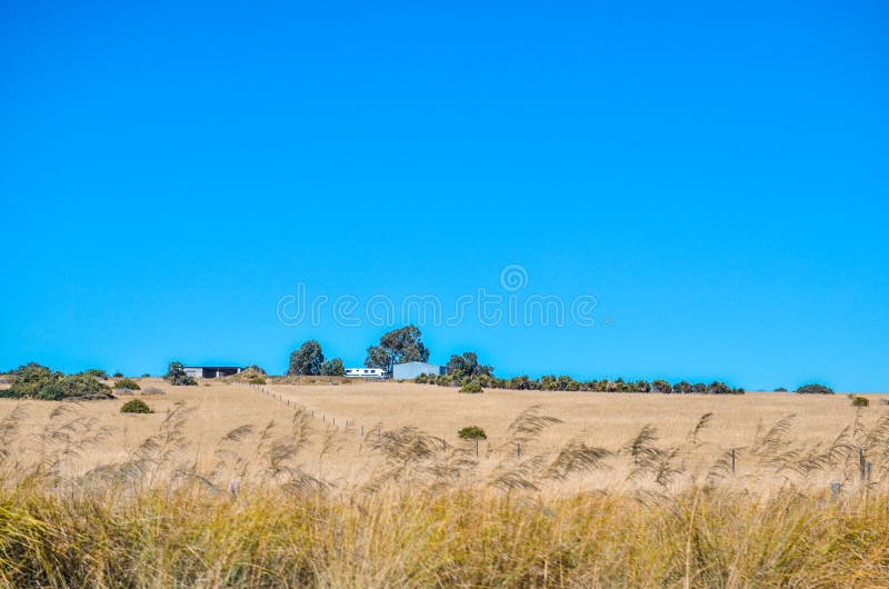 Summer View in Perth, Australia. Stock Photo - Image of summer, savanna ...