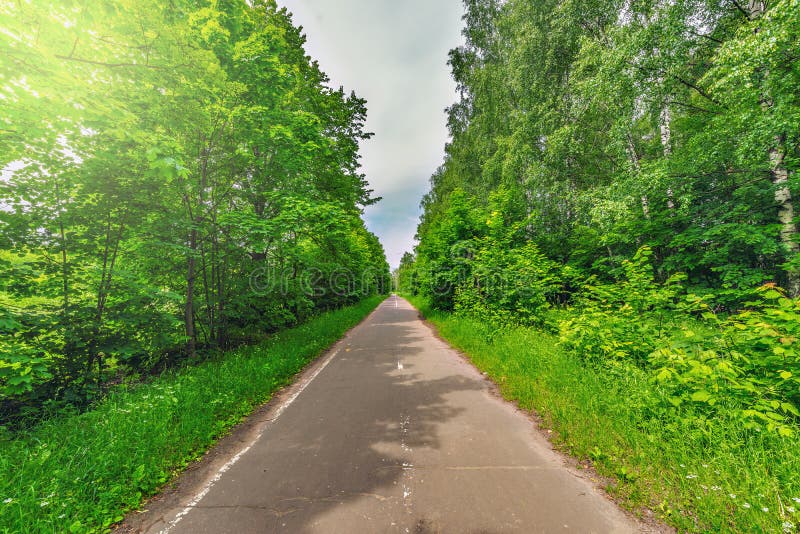 Summer View of the Road in the City Park. Stock Photo - Image of path ...