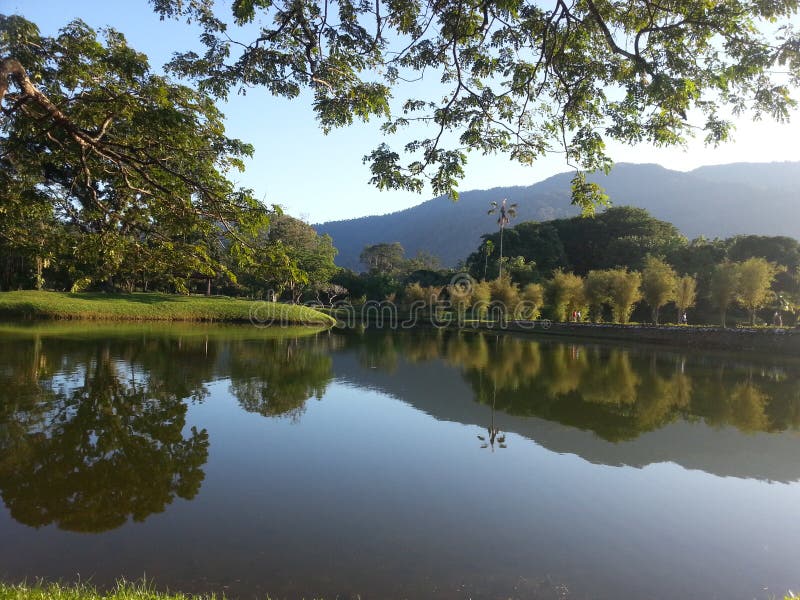 Park street stock image. Image of taiping, view, malaysia - 163132611