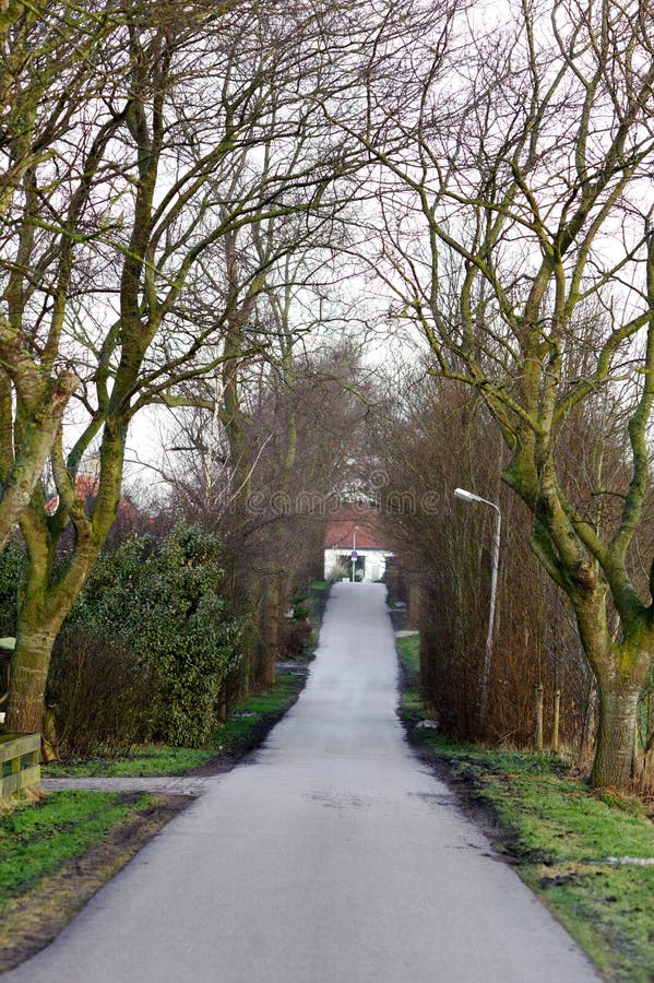 Summer village road stock image. Image of walk, natural - 98443165