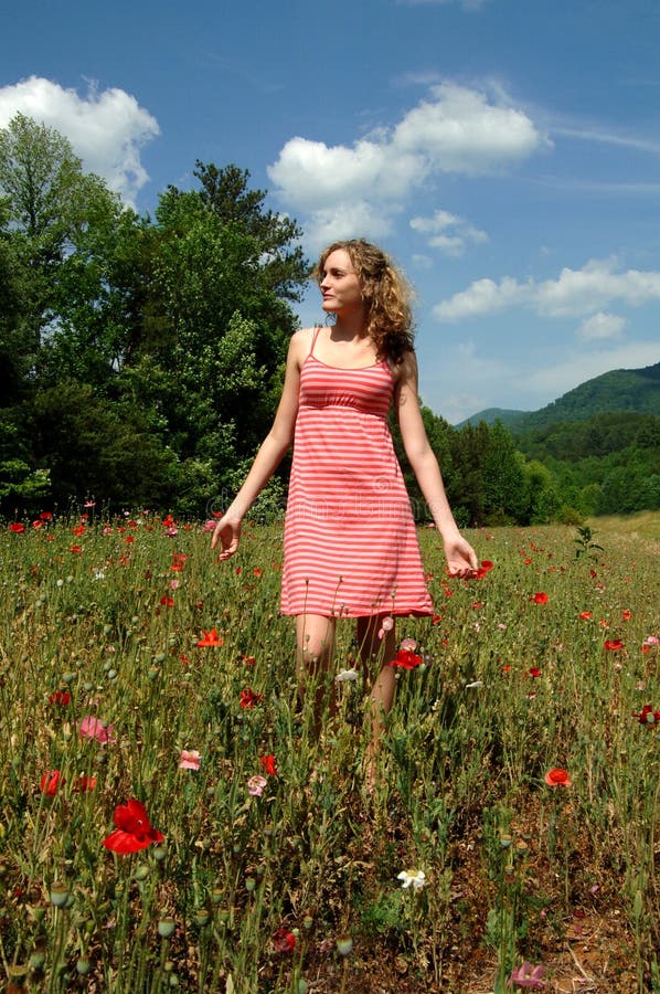 Summer walk in nature stock image. Image of flower, fresh - 2503997