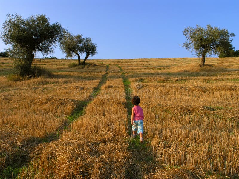 Summer walking stock image. Image of scenic, field, wheat - 2983239