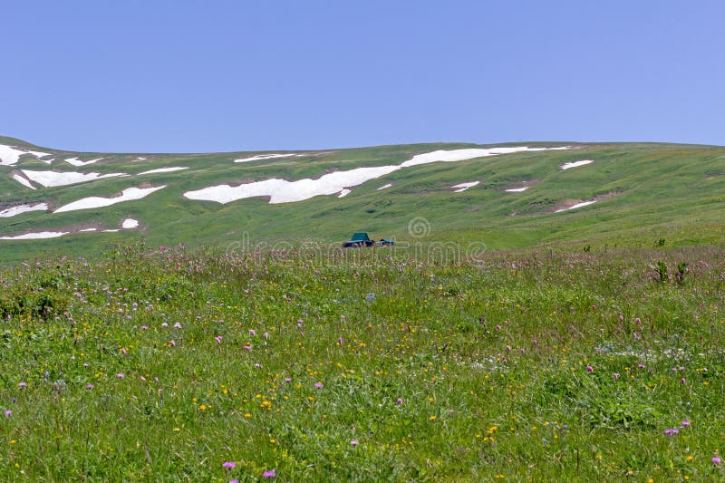 Summer Walks through the Subalpine Area To the Sources of the Mountain ...